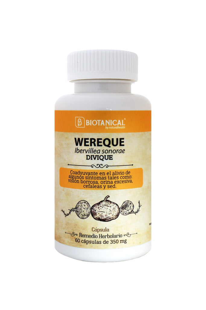 CAPS. WEREQUE Ibervillea Sonorae DIVIQUE c/60* 350MG | caalfrabet.com.mx
